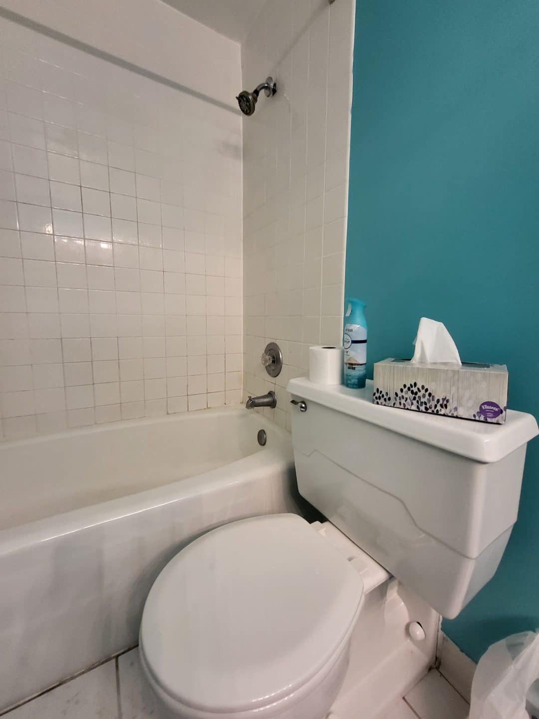 Arlington Heights, Walk-In Shower Installation 2022 | Veteran Owned ...